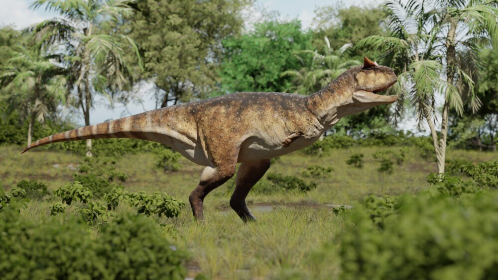 Carnotaurus Rig 3D model - Download Dinosaur on 3DModels.org