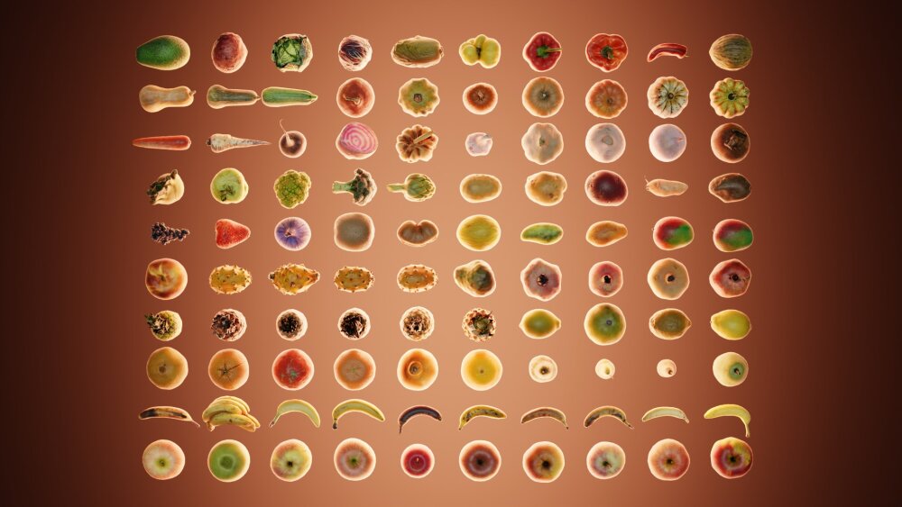 77 Kinds Of Fruits And Vegetables 3D modeli - İndir Meyve üzerinde ...