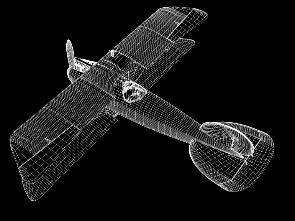 Albatros DV 3D model - Download Fighter on 3DModels.org
