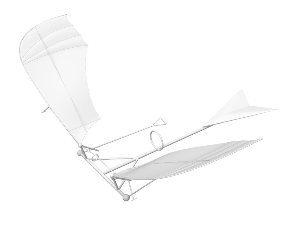 Leonardo da Vincis Flapping-wing Aircraft 3D model - Download Light ...
