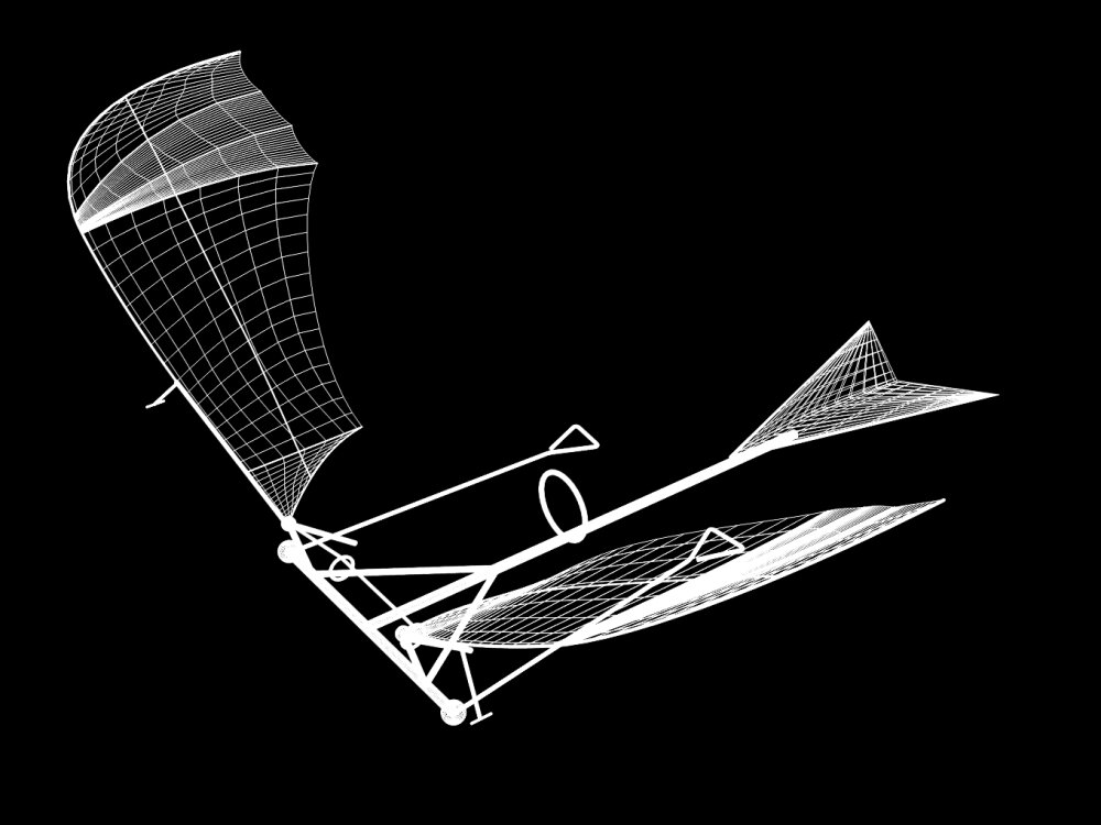 Leonardo da Vincis Flapping-wing Aircraft 3D model - Download Light ...