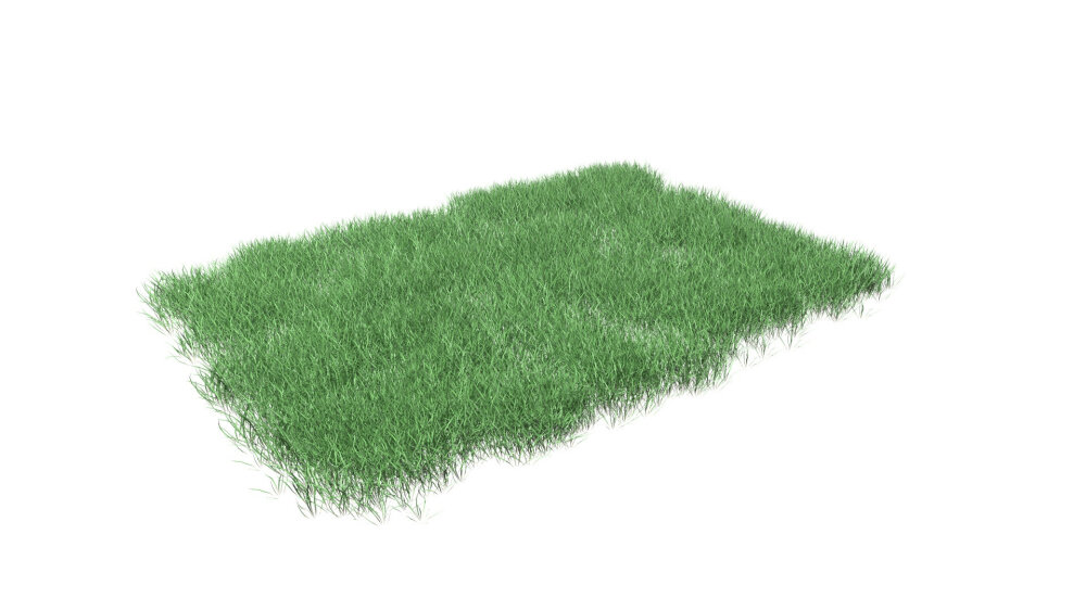 Lawn Grass Patch – Realistic Green Grass 3D model - Download Grass on ...