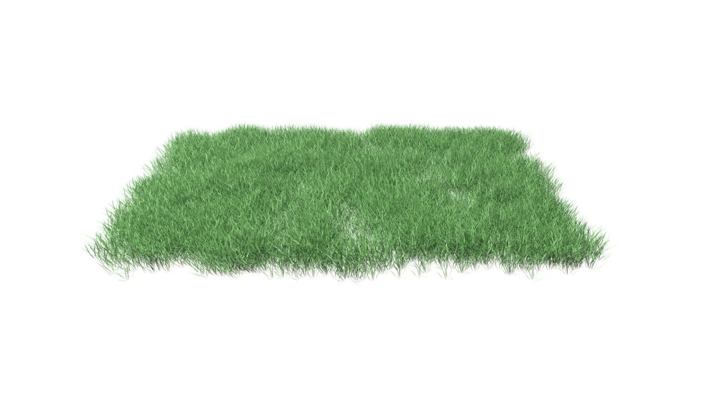 Lawn Grass Patch – Realistic Green Grass 3D model - Download Grass on ...