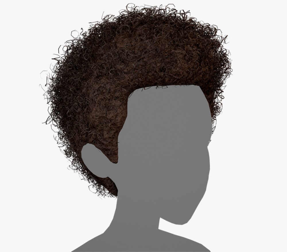 Natural Curly Hair with Layered Volume Modèle 3D - Télécharger ...