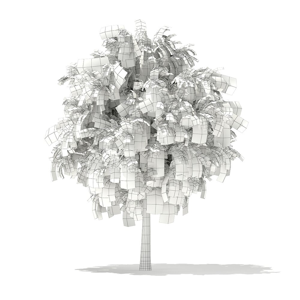 White Willow (Salix alba) 4m 3D model - Download Trees on 3DModels.org