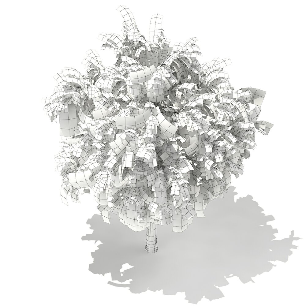 White Willow (Salix alba) 4m 3D model - Download Trees on 3DModels.org