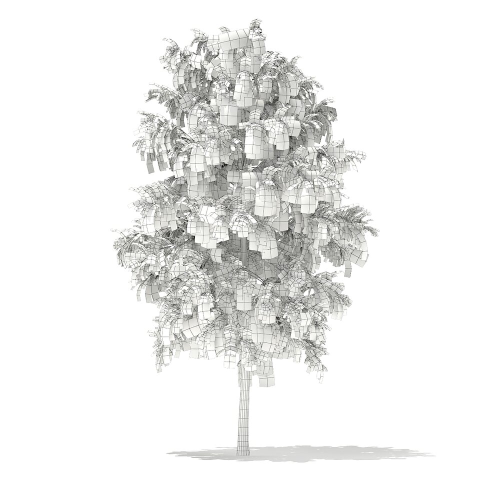 White Willow (Salix alba) 6.6m 3D model - Download Trees on 3DModels.org