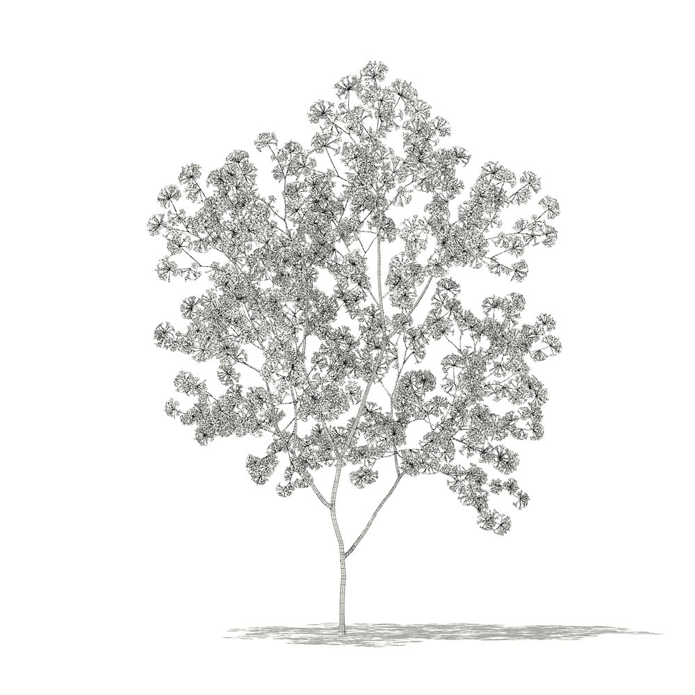 Red Lapacho (Tabebuia impetiginosa) 1.4m 3D model - Download Trees on ...