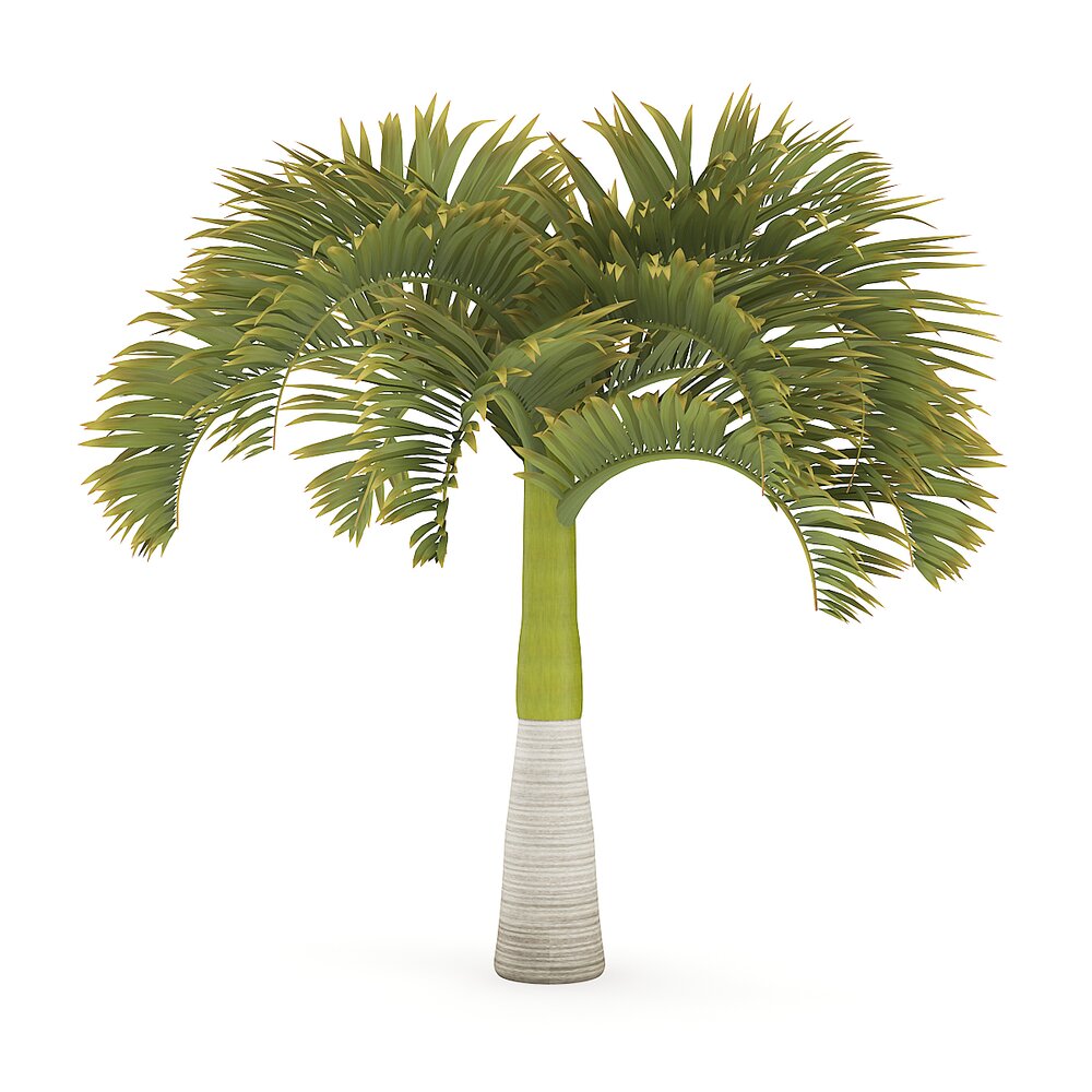 Palmeira de Natal Modelo 3D - Baixar Árvores no 3DModels.org