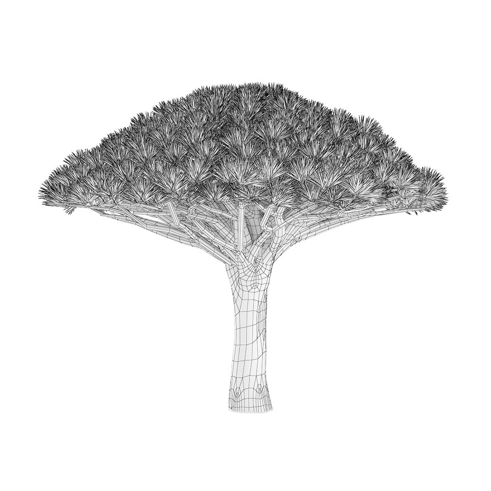 Dracaena Dragon Tree with Thick Trunk 3D model - Download Trees on ...
