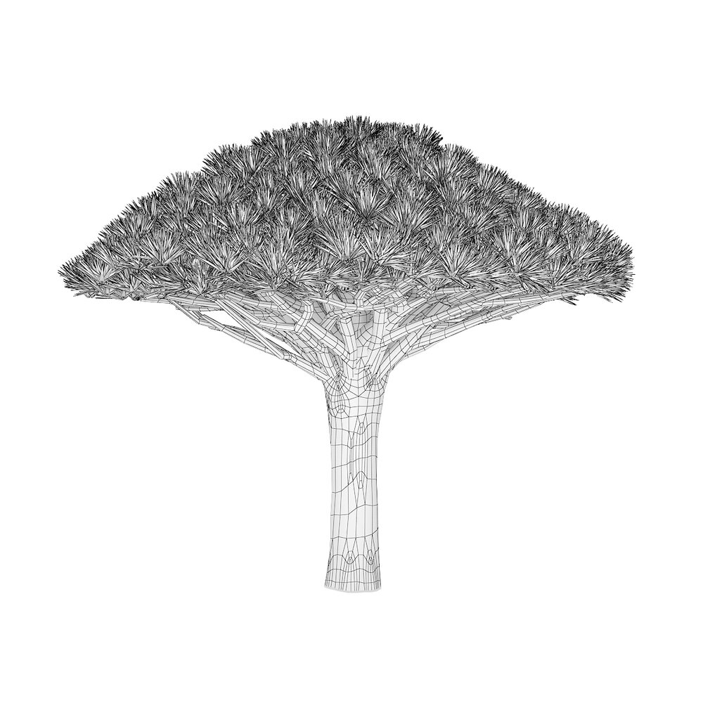 Dracaena Dragon Tree with Thick Trunk 3D model - Download Trees on ...