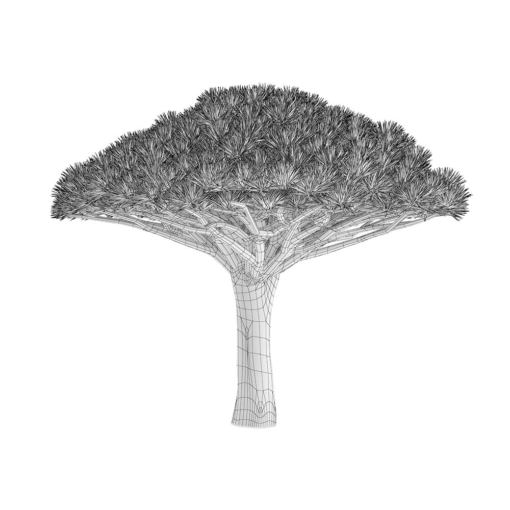 Dracaena Dragon Tree with Thick Trunk 3D model - Download Trees on ...