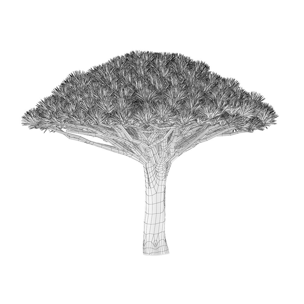 Dracaena Dragon Tree with Thick Trunk 3D model - Download Trees on ...