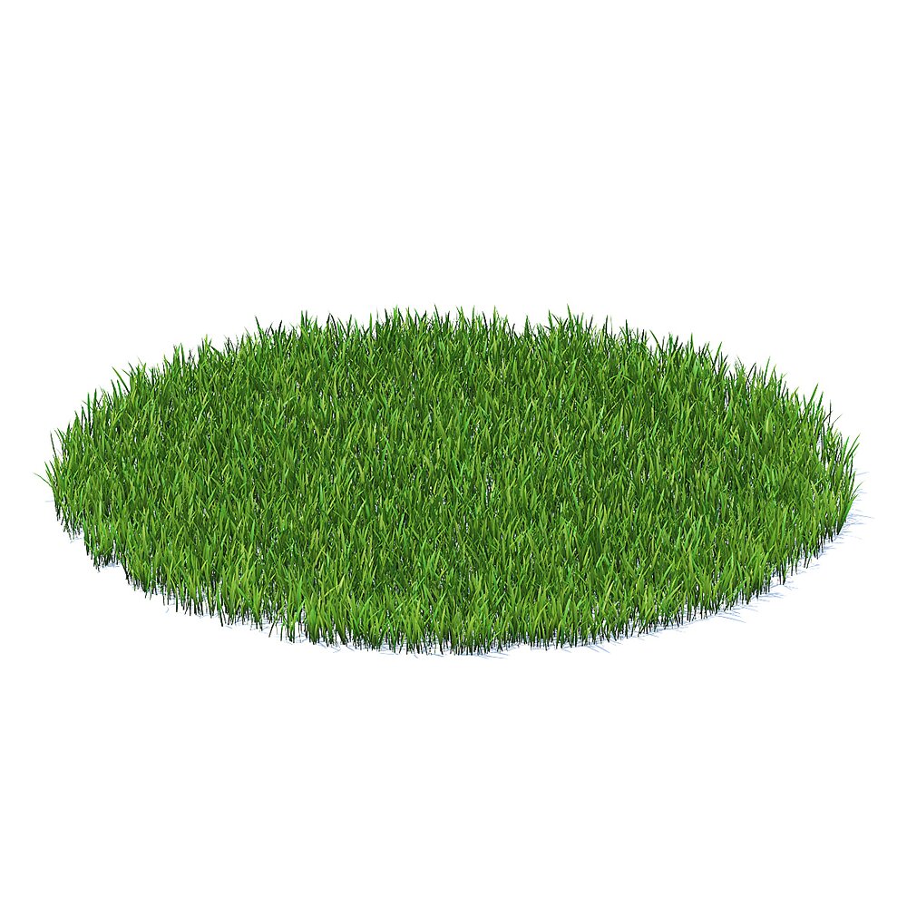 Short Grass 3D model - Download Grass on 3DModels.org