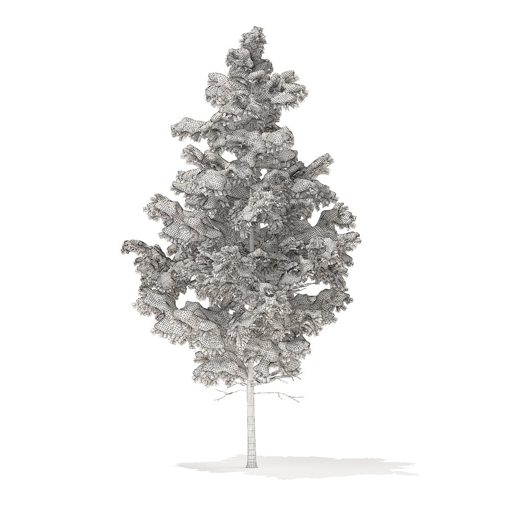 Pine Tree with Snow 5.5m 3D model - Download Trees on 3DModels.org