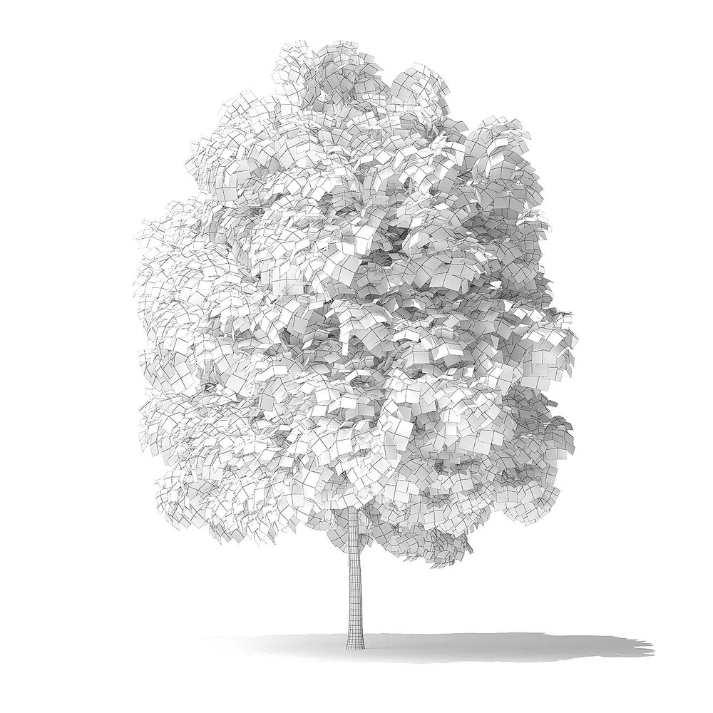 Green Ash Tree 4m 3D model - Download Trees on 3DModels.org