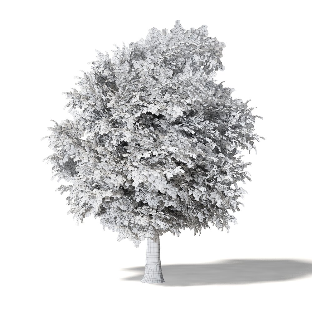Roble Común 7m Modelo 3D - Descargar Árboles activado 3DModels.org