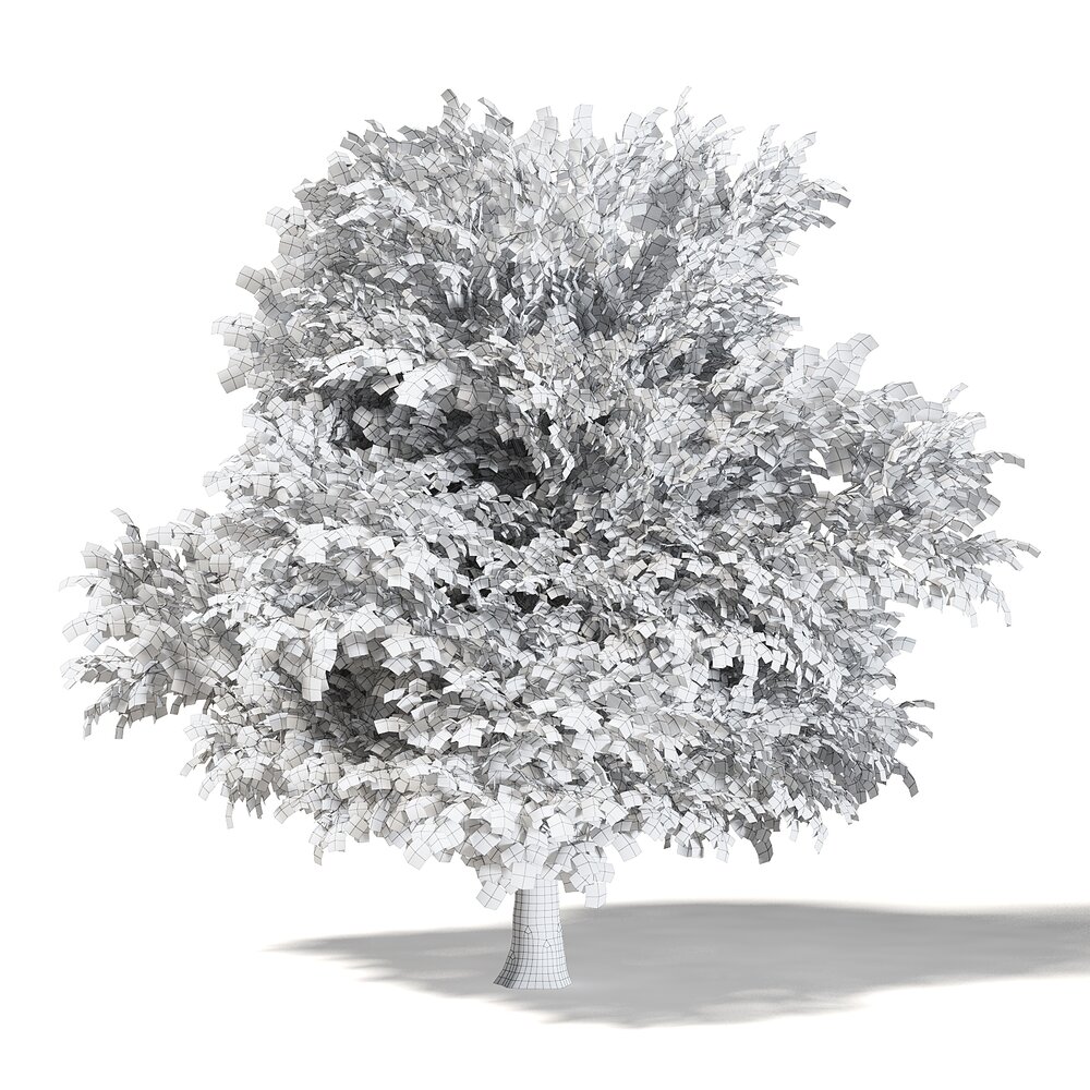 Roble Común 6m Modelo 3D - Descargar Árboles on 3DModels.org