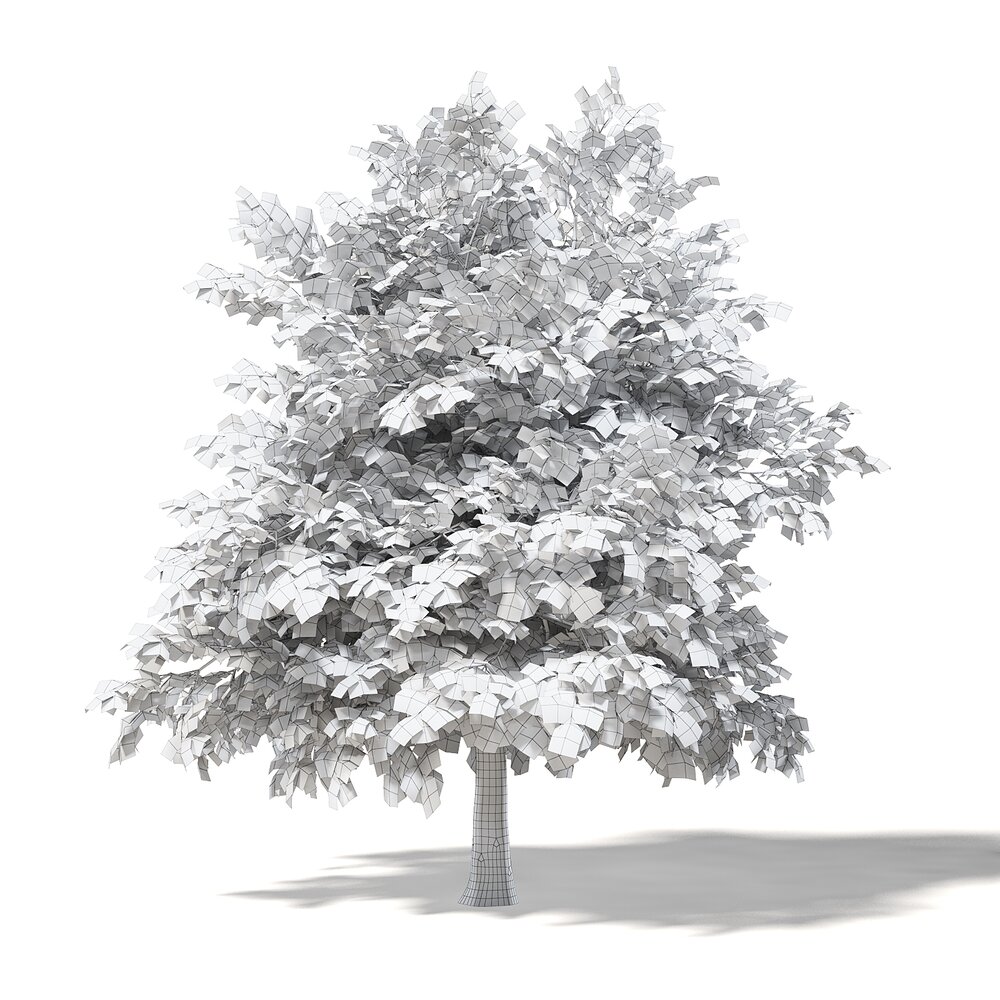 Roble Común 4.5m Modelo 3D - Descargar Árboles on 3DModels.org