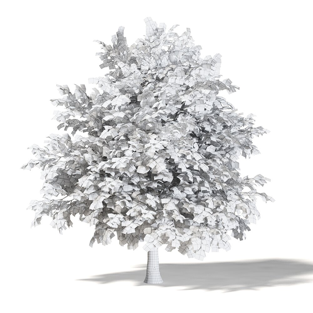 Roble Común 4.5m Modelo 3D - Descargar Árboles on 3DModels.org