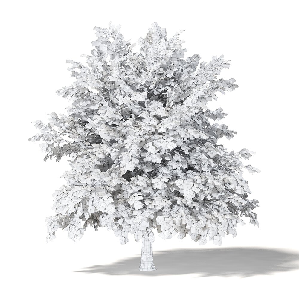 Roble Común 4.5m Modelo 3D - Descargar Árboles on 3DModels.org