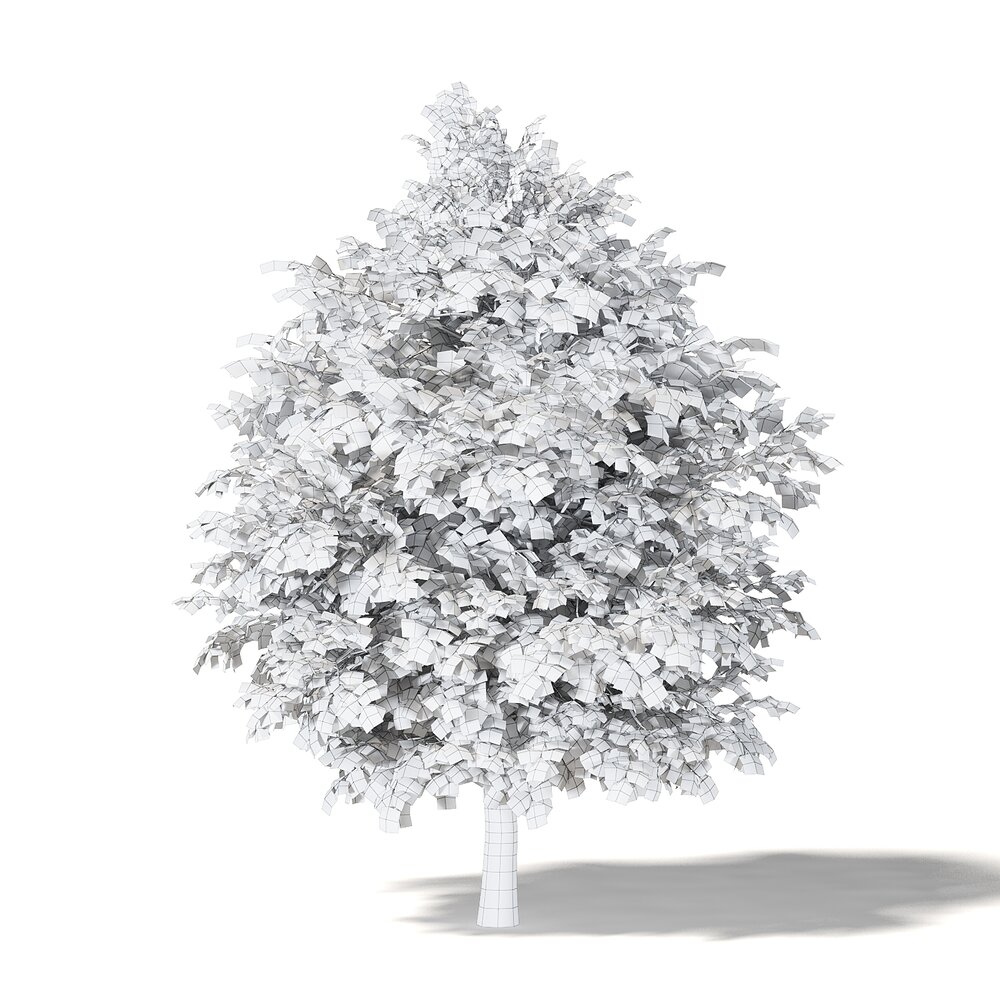 Roble Común 5.3m Modelo 3D - Descargar Árboles activado 3DModels.org