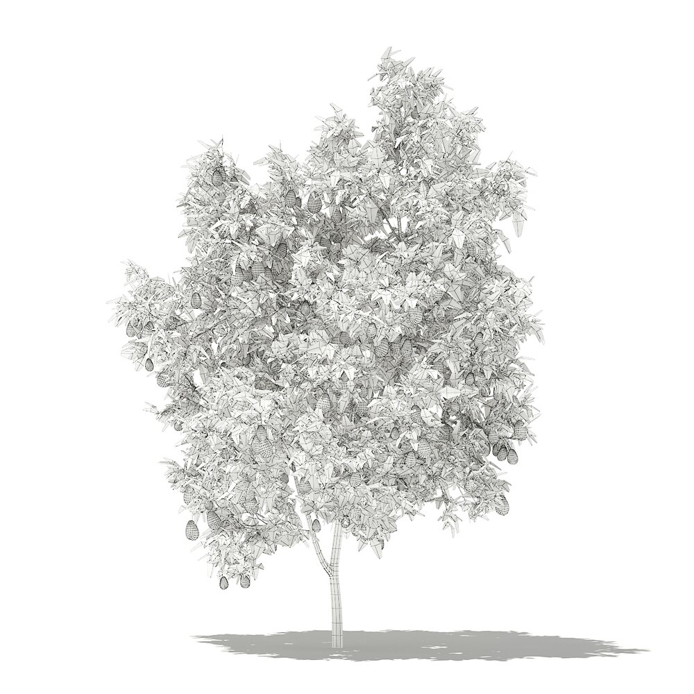 Avocado Tree With Fruits 2.9m 3D model - Download Trees on 3DModels.org