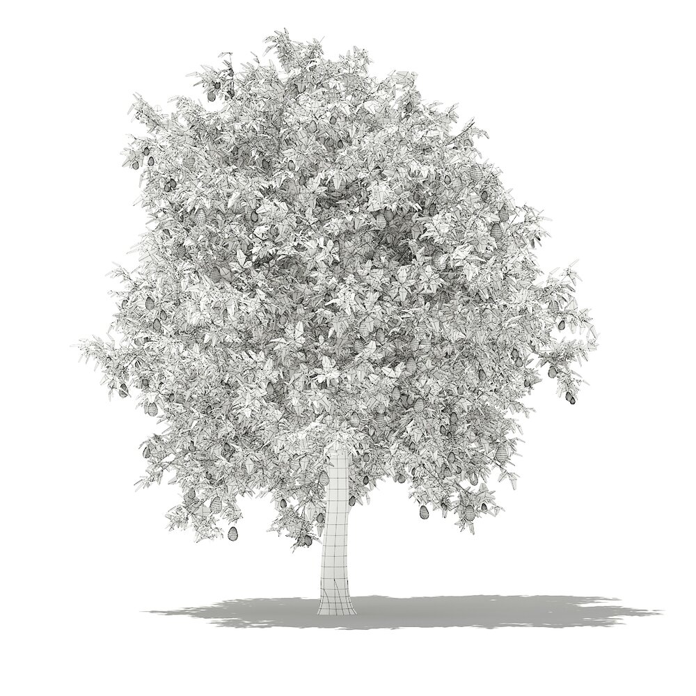 Avocado Tree With Fruits 3.8m 3D model - Download Trees on 3DModels.org