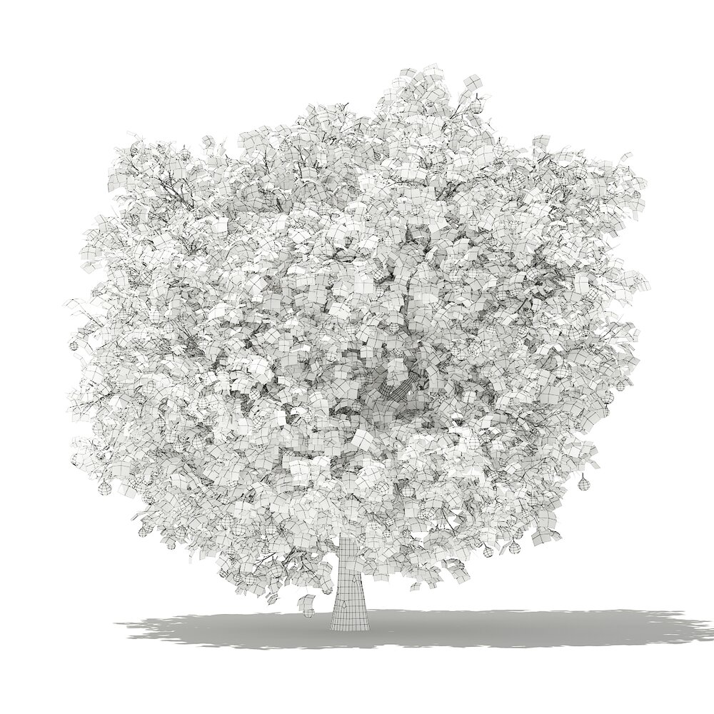Common Fig Tree With Fruits 3.3m 3D model - Download Trees on 3DModels.org