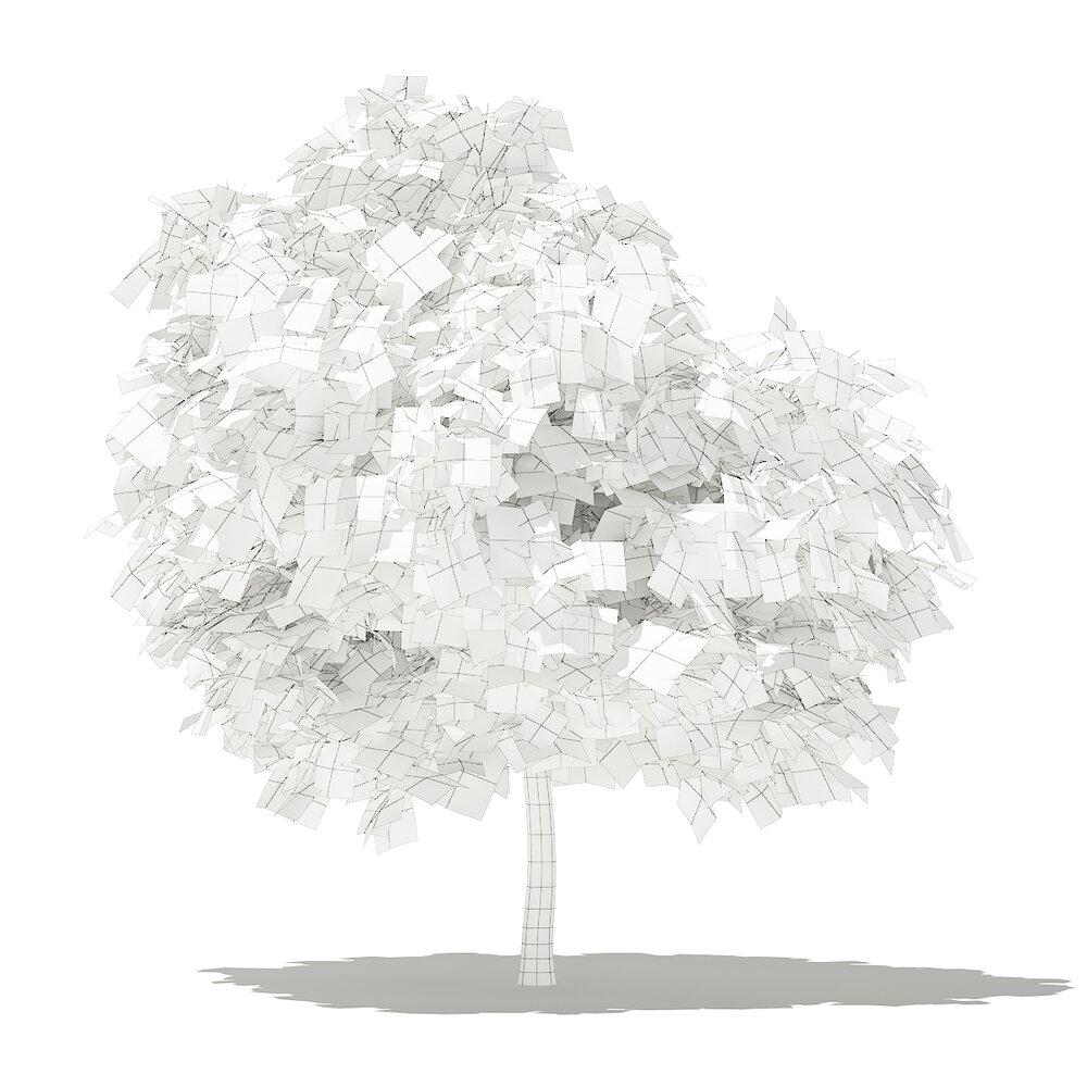 Mango Tree 2.6m 3D model - Download Trees on 3DModels.org