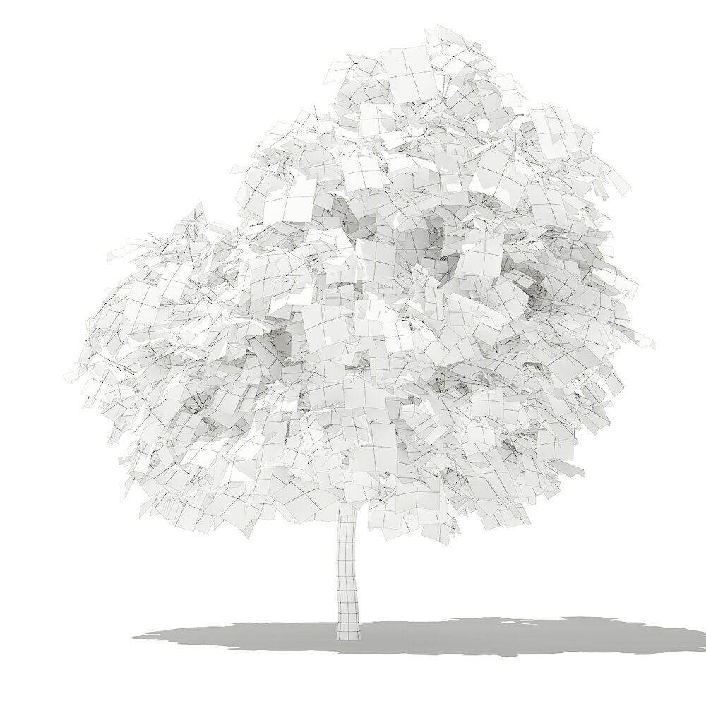 Mango Tree 2.6m 3D model - Download Trees on 3DModels.org