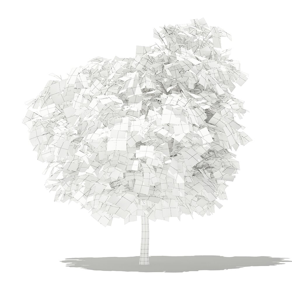 Mango Tree 2.6m 3D model - Download Trees on 3DModels.org