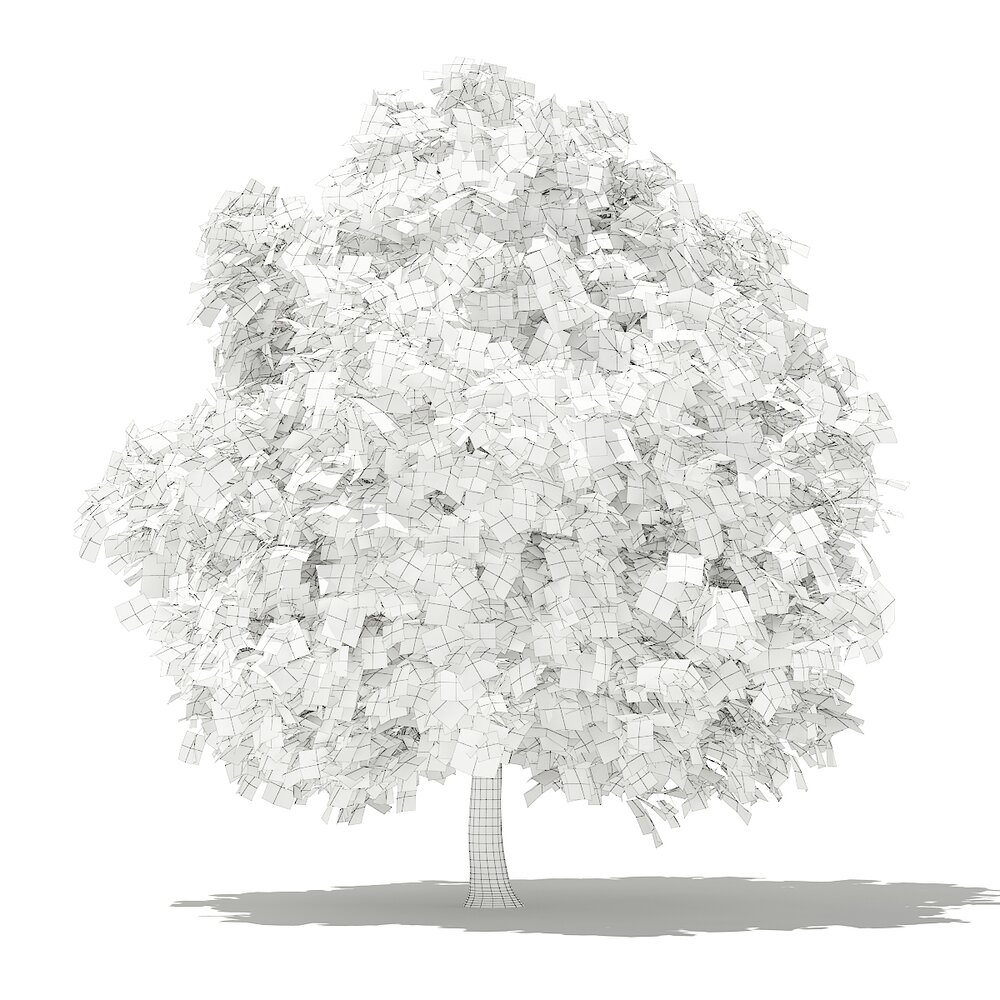 Mango Tree 4m 3D model - Download Trees on 3DModels.org