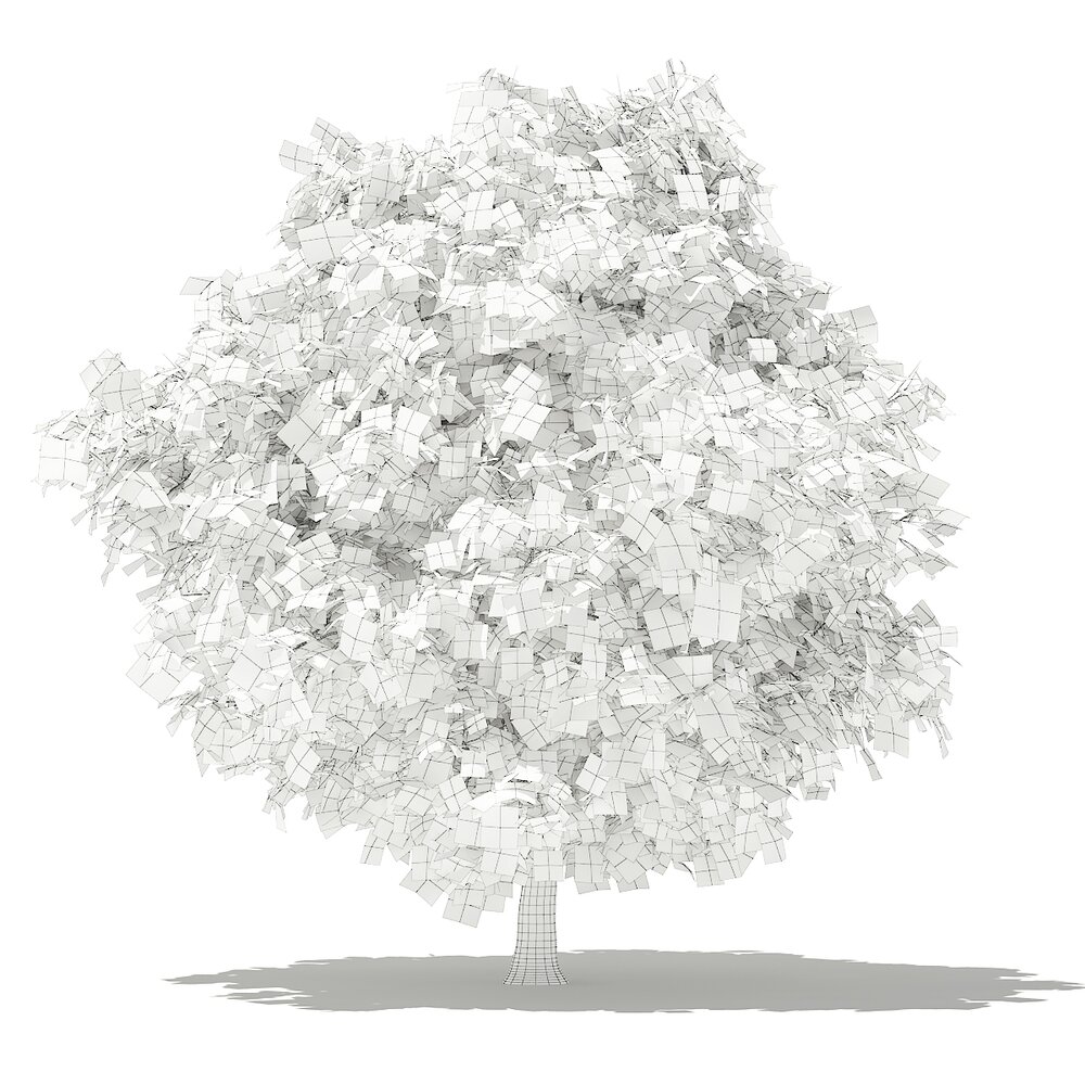 Mango Tree 4m 3D model - Download Trees on 3DModels.org