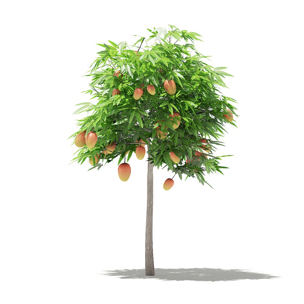 Árbol de Mango con Frutas 1.7m Modelo 3D - Descargar Árboles on ...