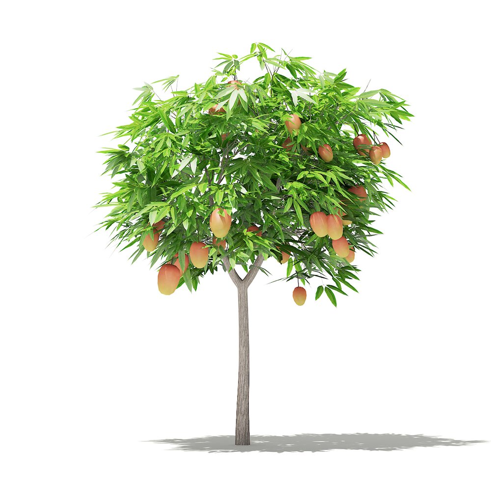 Árbol de Mango con Frutas 1.7m Modelo 3D - Descargar Árboles on ...
