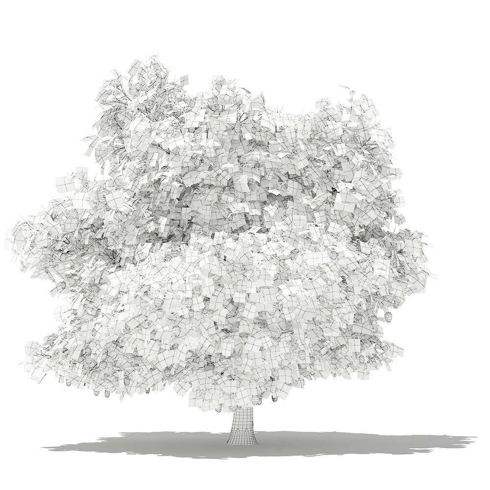 Mango Tree With Fruits 4.8m 3D model - Download Trees on 3DModels.org