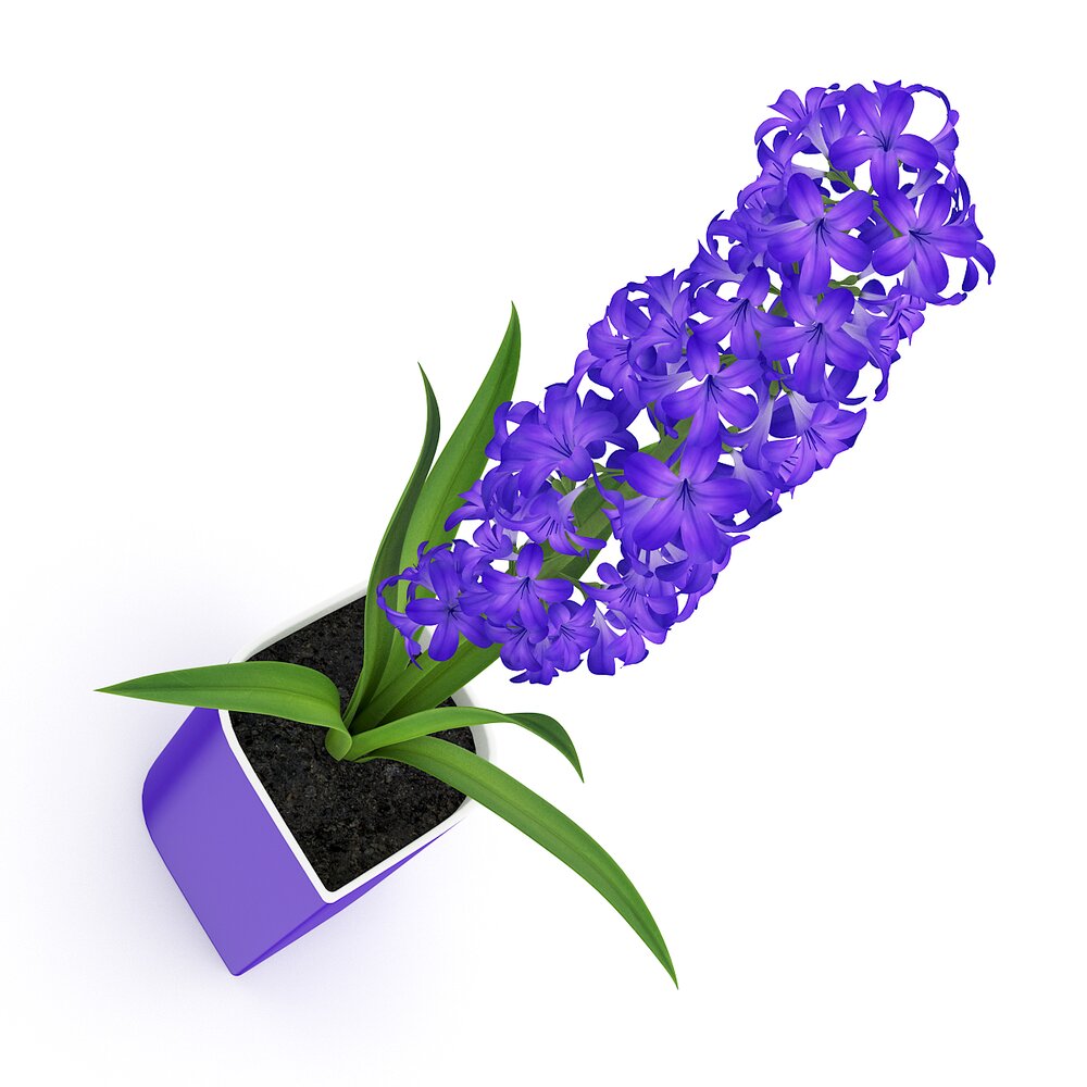 Purple Flower in Pot 3D model - Download Flowers on 3DModels.org
