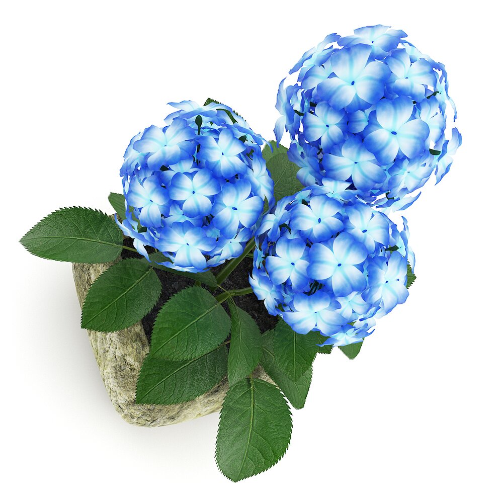 Blue Flower in Stone Pot 3D model - Download Flowers on 3DModels.org