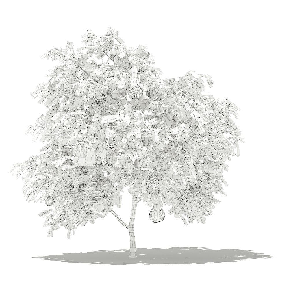 Pomelo Tree With Fruits 1.7m 3D model - Download Trees on 3DModels.org