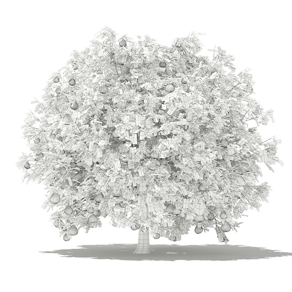 Pomelo Tree With Fruits 2.8m 3D model - Download Trees on 3DModels.org