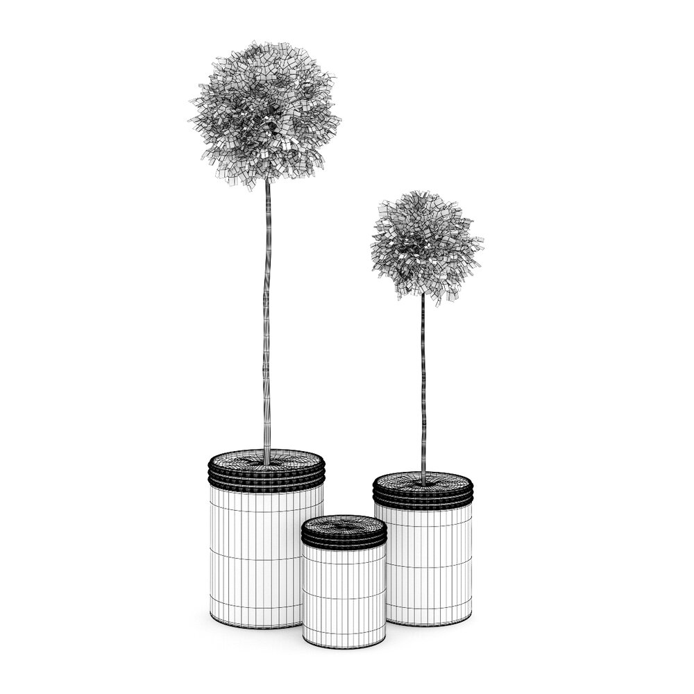 Potted Birch Trees 3D model - Download Trees on 3DModels.org