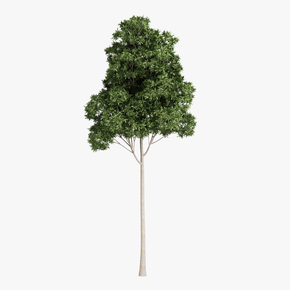 Majestic Green Tree 3D model - Download Trees on 3DModels.org