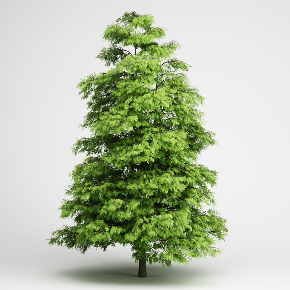 Verdant Evergreen Tree 3D model - Download Trees on 3DModels.org