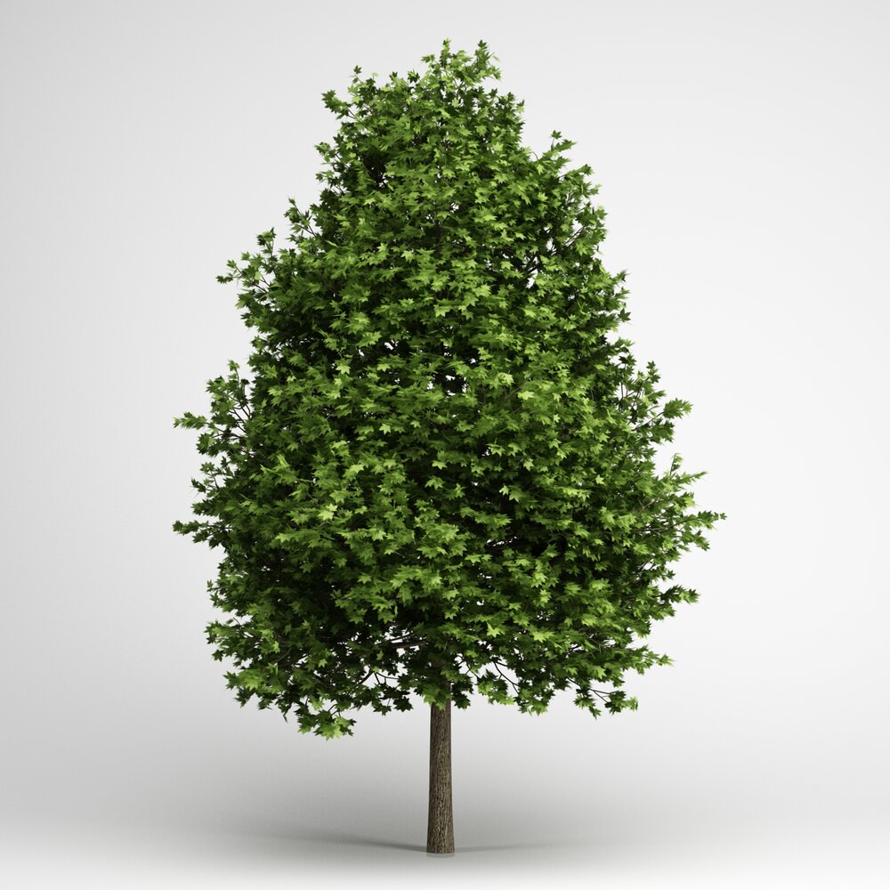 Green Leafy Tree 3D model - Download Trees on 3DModels.org