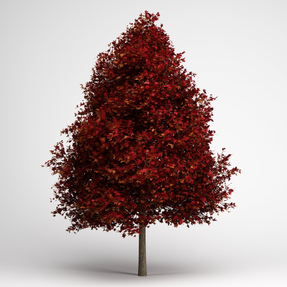 Crimson Foliage Tree 3D model - Download Trees on 3DModels.org