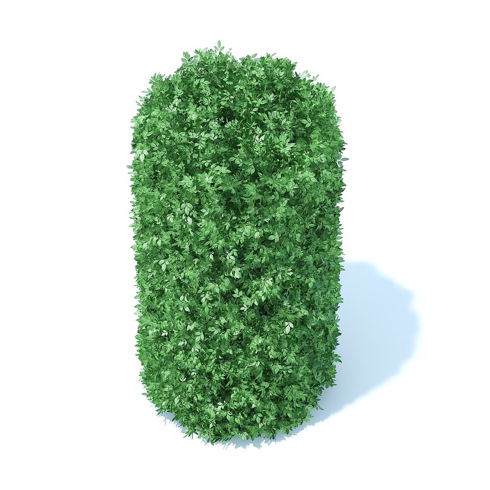 Cylindrical Hedge 3D model - Download Bushes on 3DModels.org