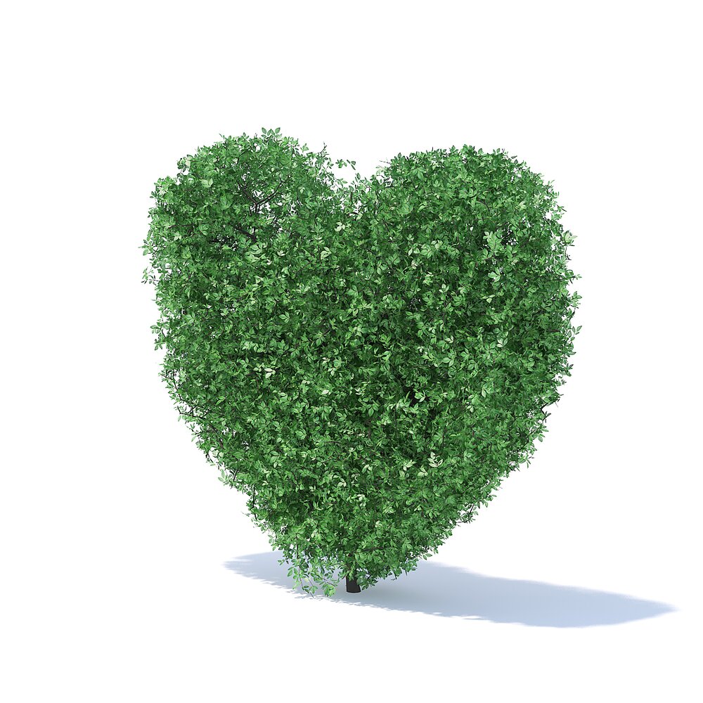 Heart Shaped Shrub 3D model - Download Bushes on 3DModels.org