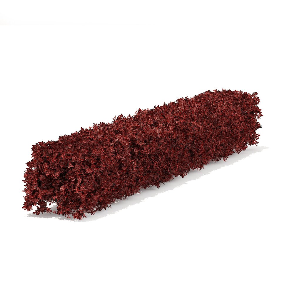 Straight Red Hedge 3D model - Download Bushes on 3DModels.org