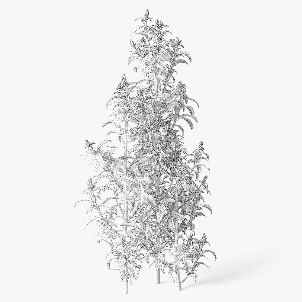 Large Meadow Plant 3D model - Download Grass on 3DModels.org